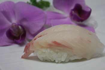 Snapper sushi – Hokkaido Sushi
